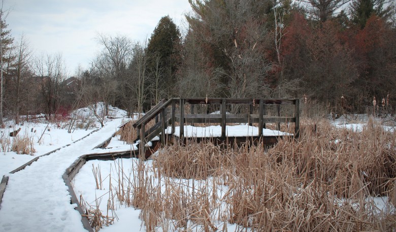 Altona Forest and Lacey’s Pond – The Ground Stompers