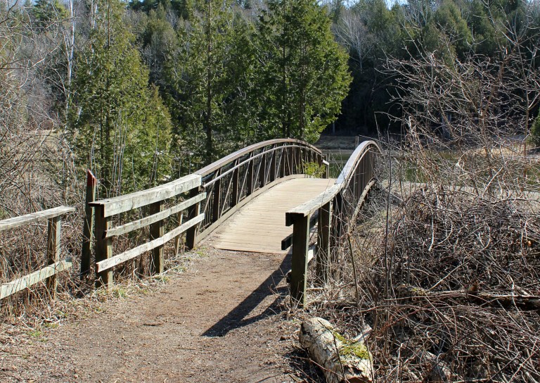 Heber Down Conservation Area in Whitby – The Ground Stompers