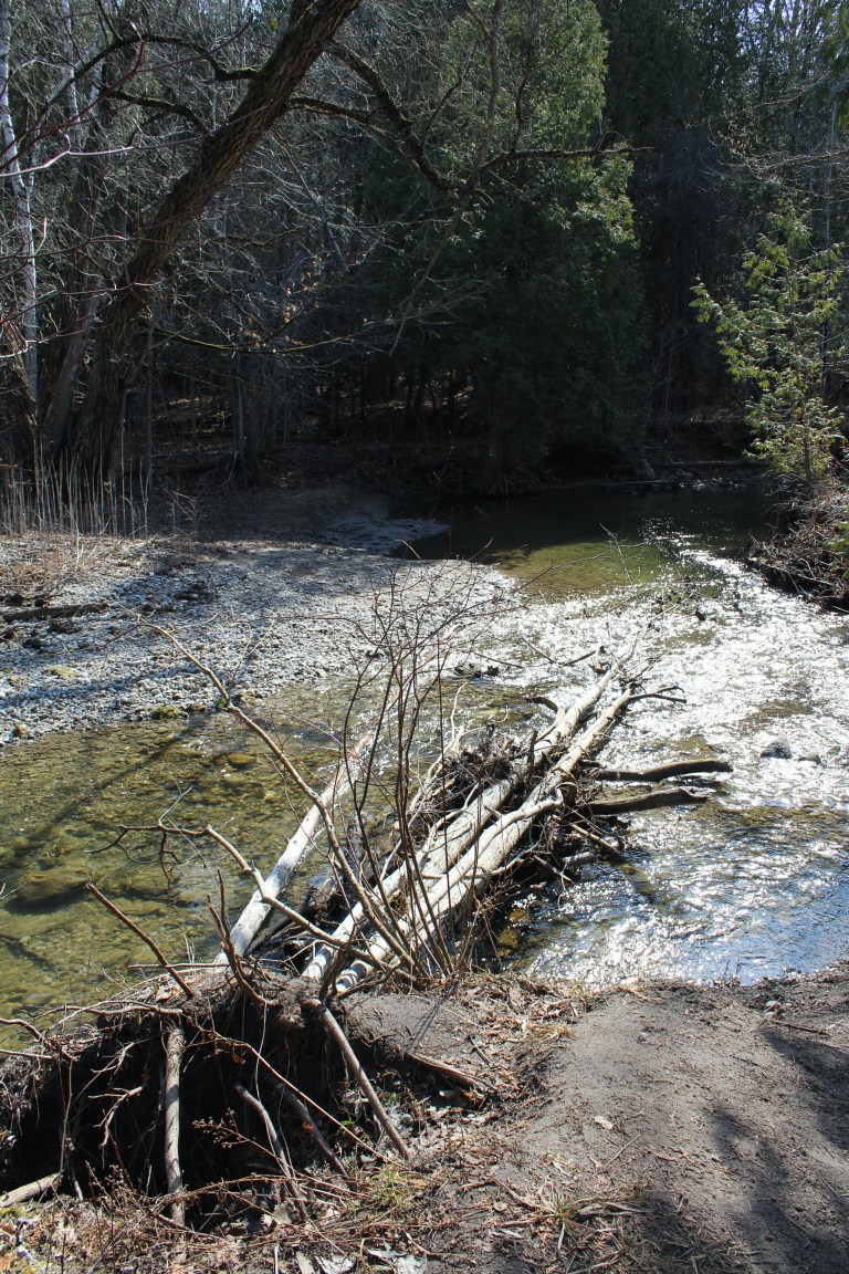 Heber Down Conservation Area in Whitby – The Ground Stompers