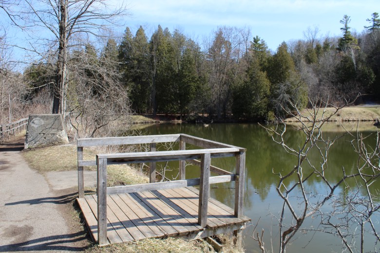 Heber Down Conservation Area in Whitby – The Ground Stompers