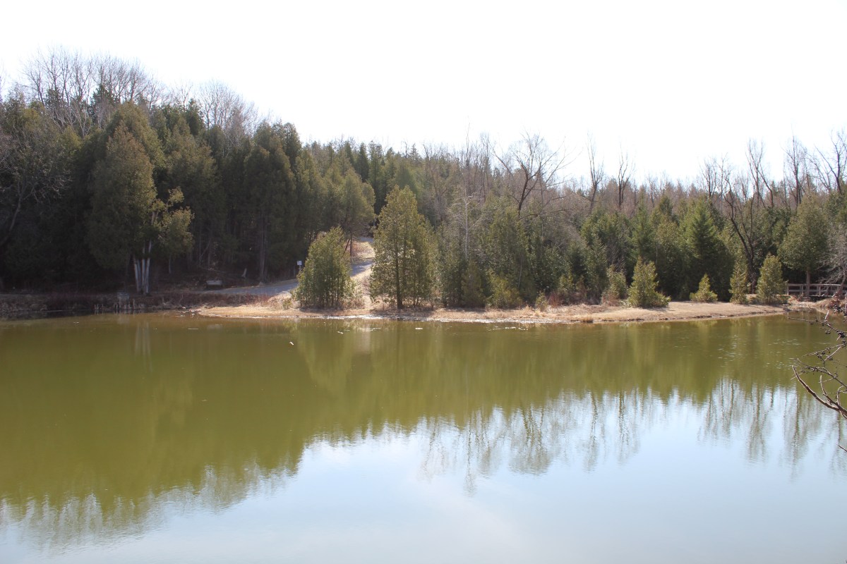 Heber Down Conservation Area in Whitby – The Ground Stompers