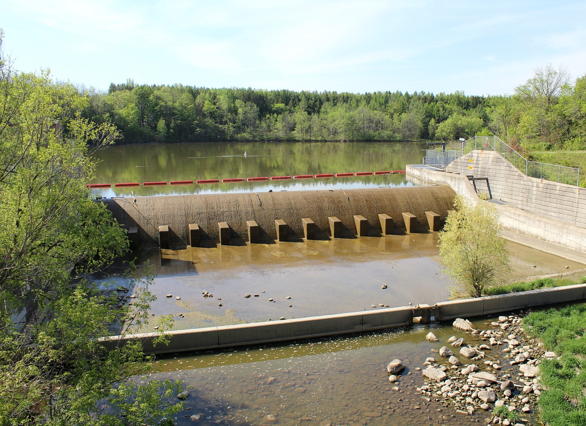Birding at Milne Dam Conservation Park in Markham – The Ground Stompers