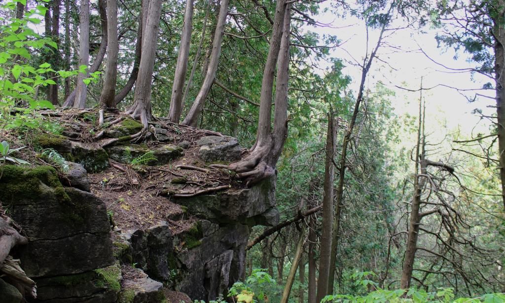 Caves at Limehouse Conservation Area in Halton Hills – The Ground Stompers