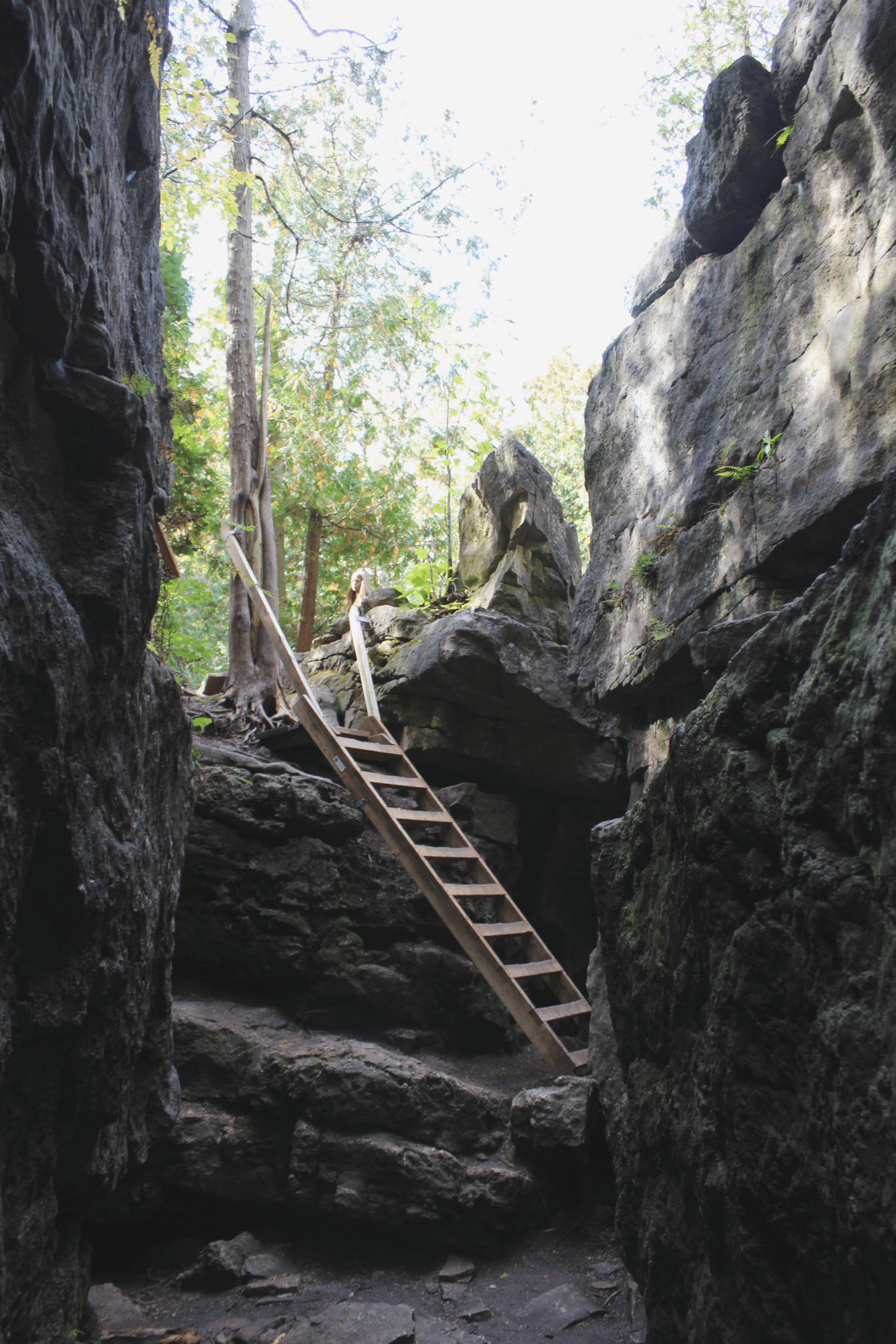 Caves at Limehouse Conservation Area in Halton Hills – The Ground Stompers