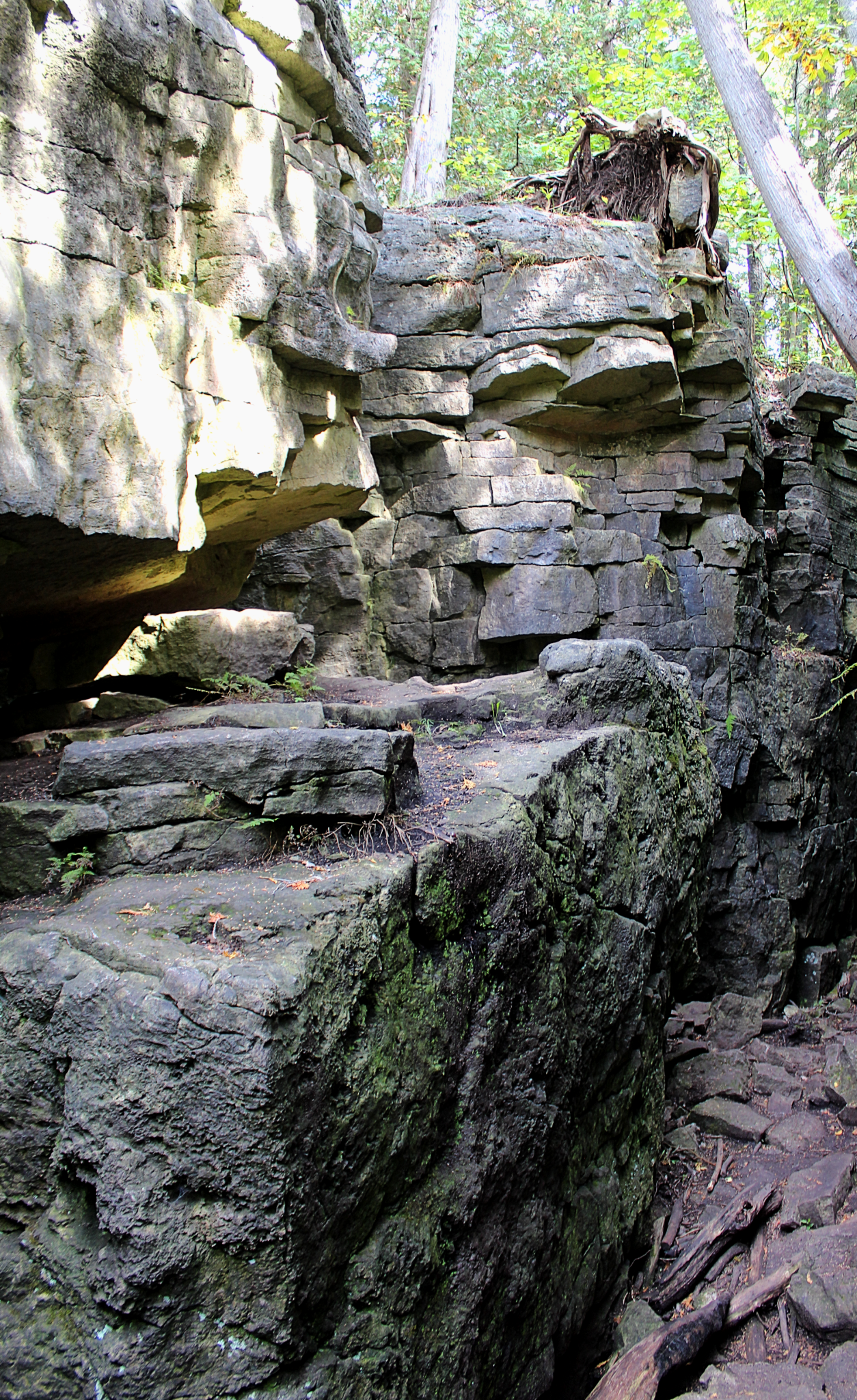 Caves at Limehouse Conservation Area in Halton Hills – The Ground Stompers